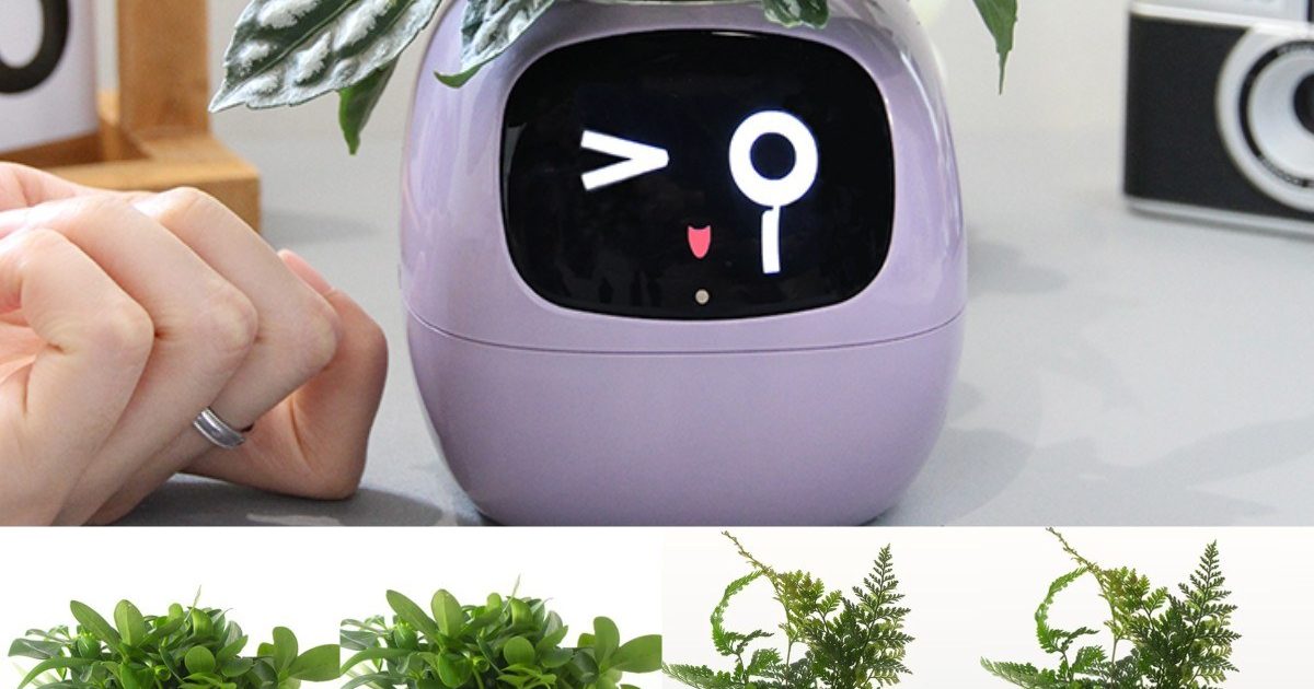 Tuya Ivy Smart Planter,Endless Fun Over 49 Rich Expressions,7 smart ...